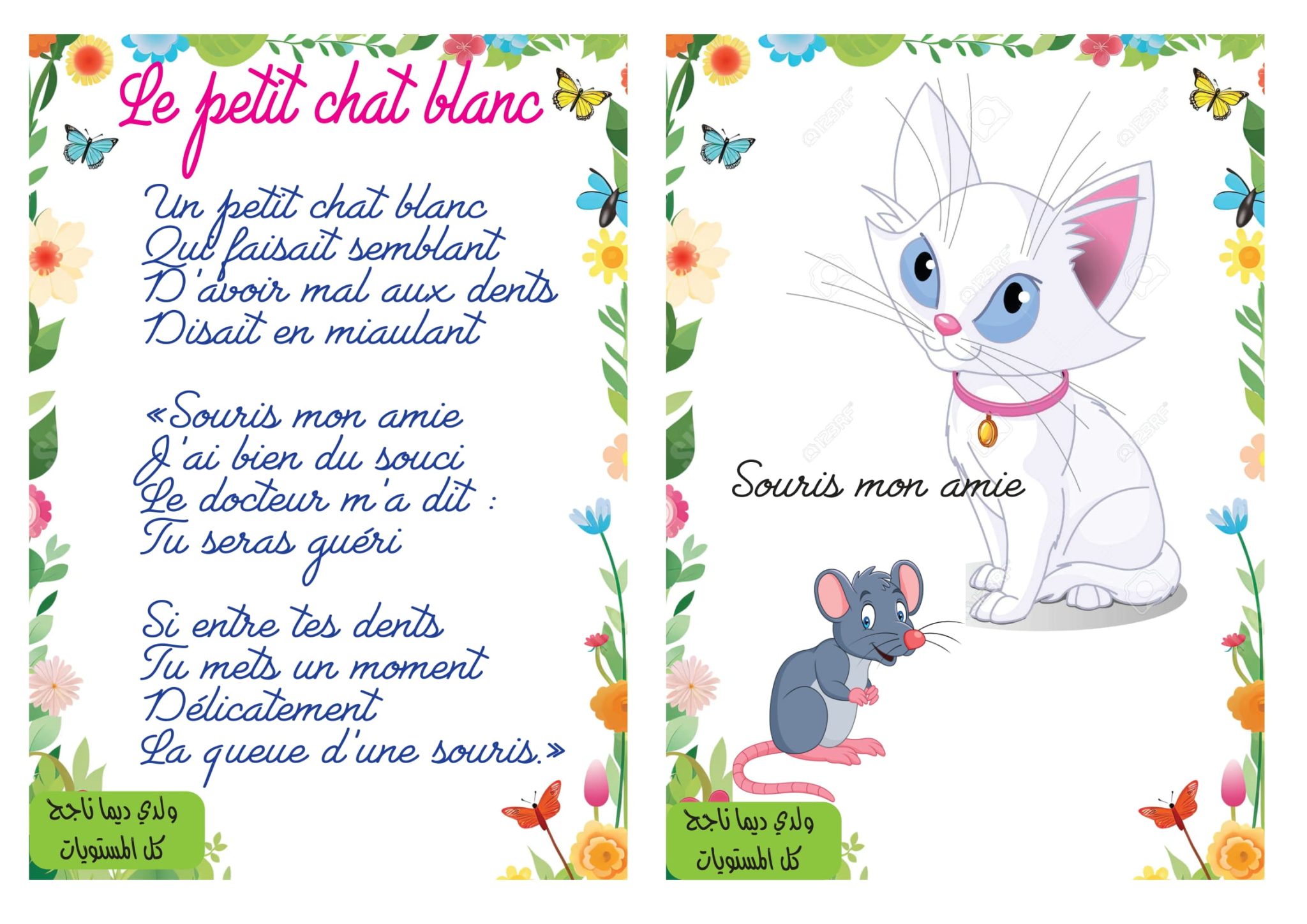 Récitation le petit chat blanc | مدرستي الخاصّة | Madrasati Libre