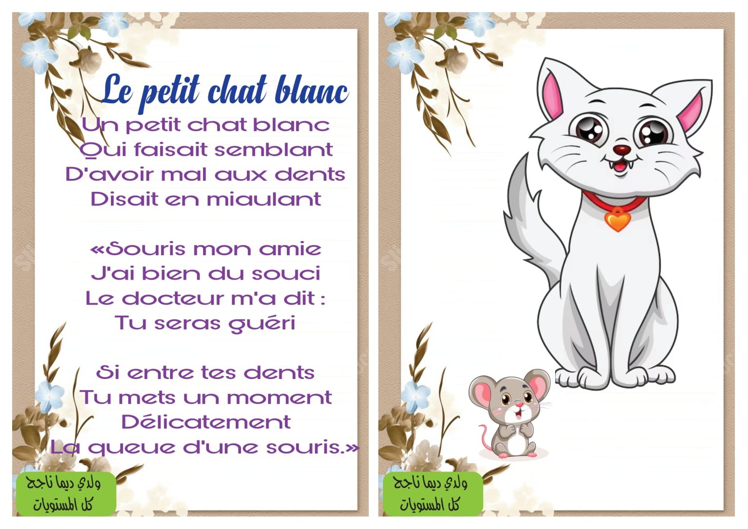 Récitation le petit chat blanc | مدرستي الخاصّة | Madrasati Libre